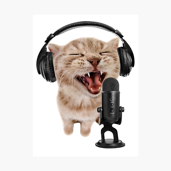 "Rapping Cat Meow Rap Meme " Photographic Print for Sale by fomodesigns ...