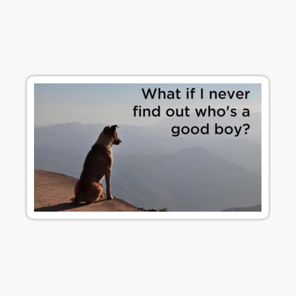 "Who's a Good Boy? | Funny Meme" Sticker for Sale by memeology69 ...