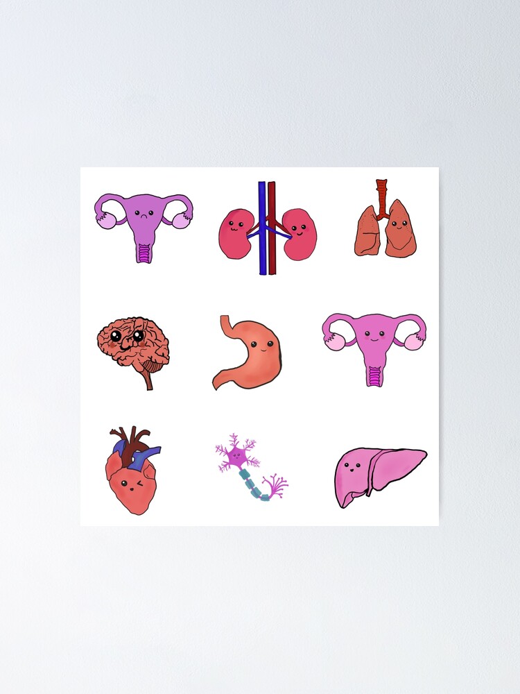 "Cute tiny organs" Poster for Sale by Tamm-art | Redbubble