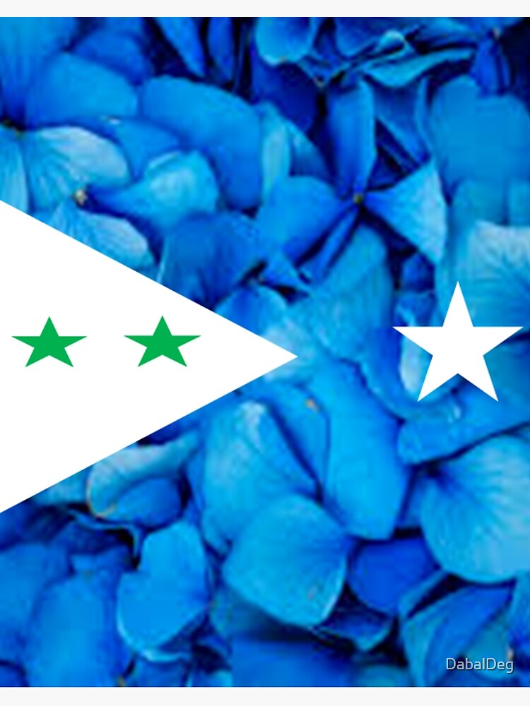 "Galmudug State Flag" Art Board Print for Sale by DabalDeg | Redbubble