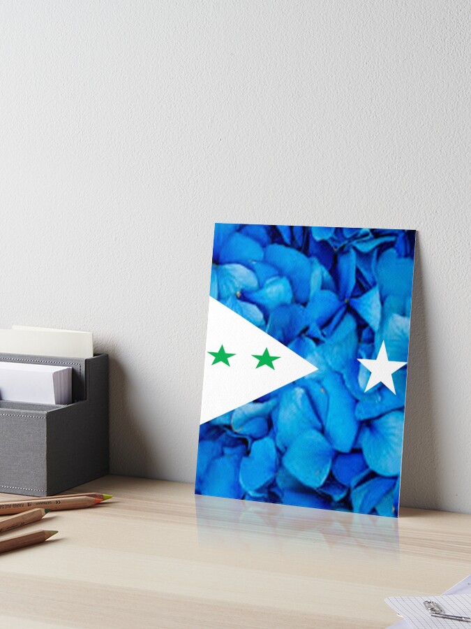 "Galmudug State Flag" Art Board Print for Sale by DabalDeg | Redbubble
