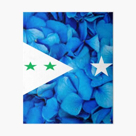 "Galmudug State Flag" Art Board Print for Sale by DabalDeg | Redbubble
