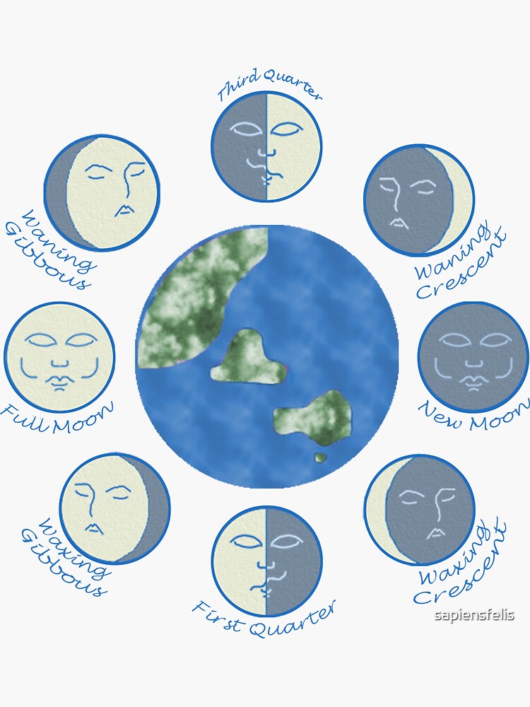 "Moon Phases Southern Hemisphere" Sticker by sapiensfelis | Redbubble