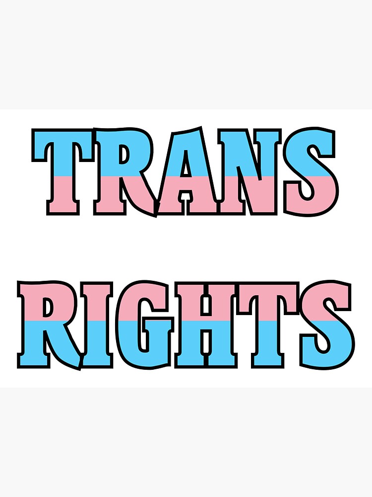 "Trans Rights" Sticker for Sale by Balerion6 | Redbubble