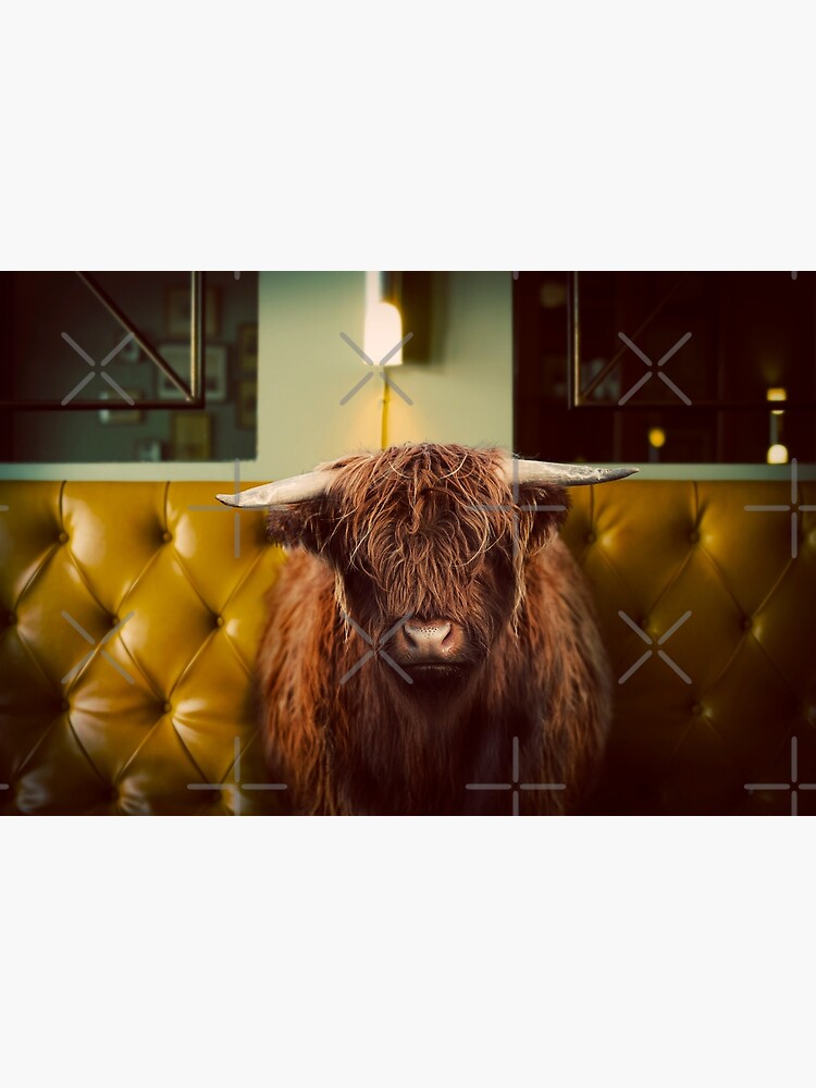 "Highland Cow in Restaurant" Poster for Sale by Spindriftmerch | Redbubble