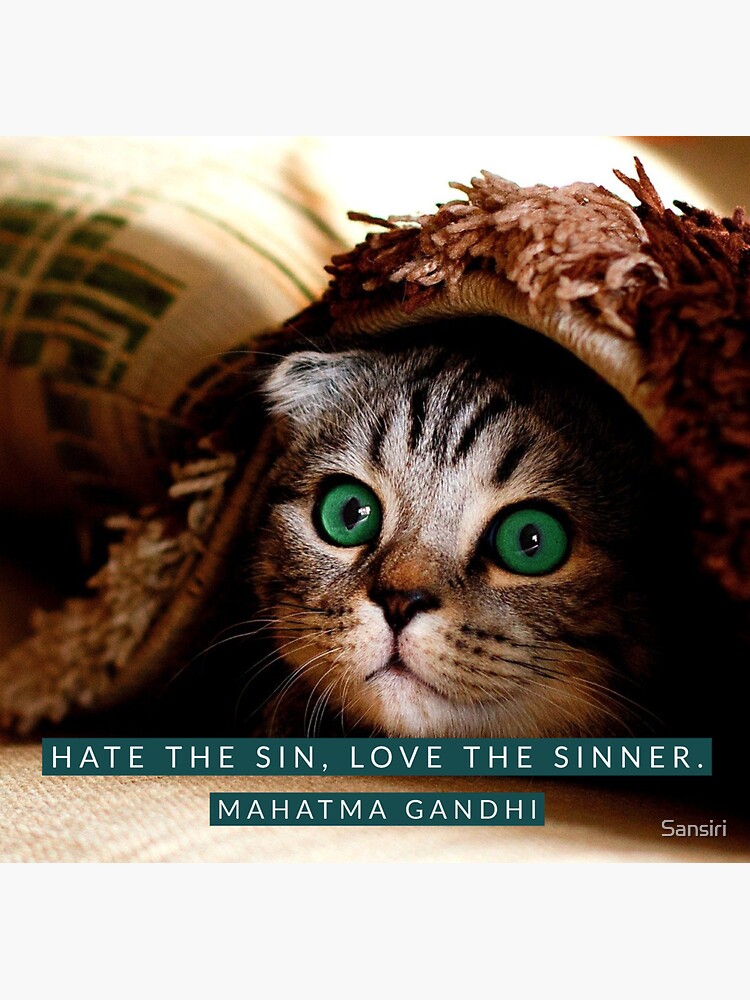 "Hate the sin" Sticker for Sale by Sansiri | Redbubble