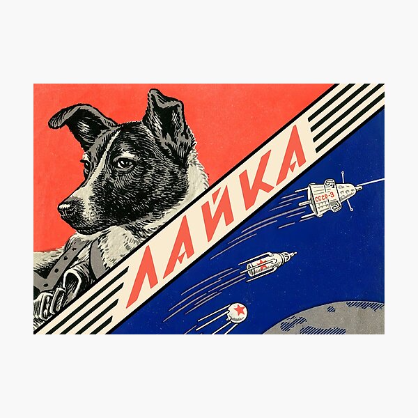 Laika Gifts & Merchandise for Sale | Redbubble