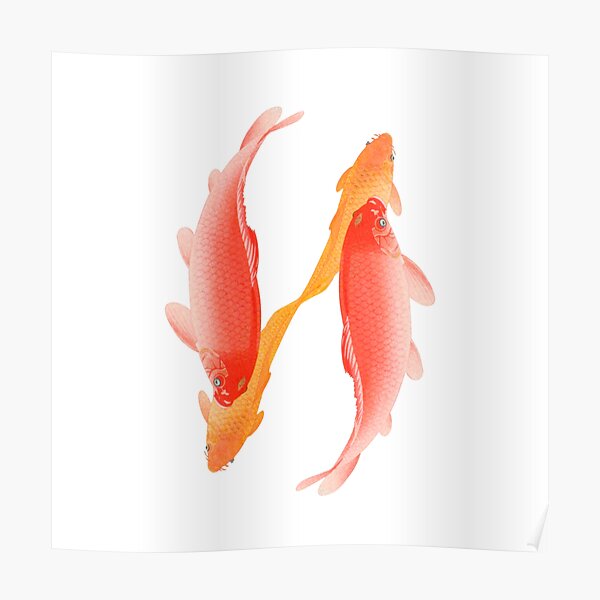 "KOI FISH PISCES SYMBOL" Poster for Sale by D-Art-Studio | Redbubble
