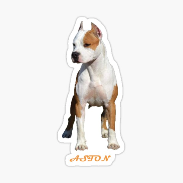 "aston american stafford terrier" Sticker for Sale by Worldofdesign1 ...