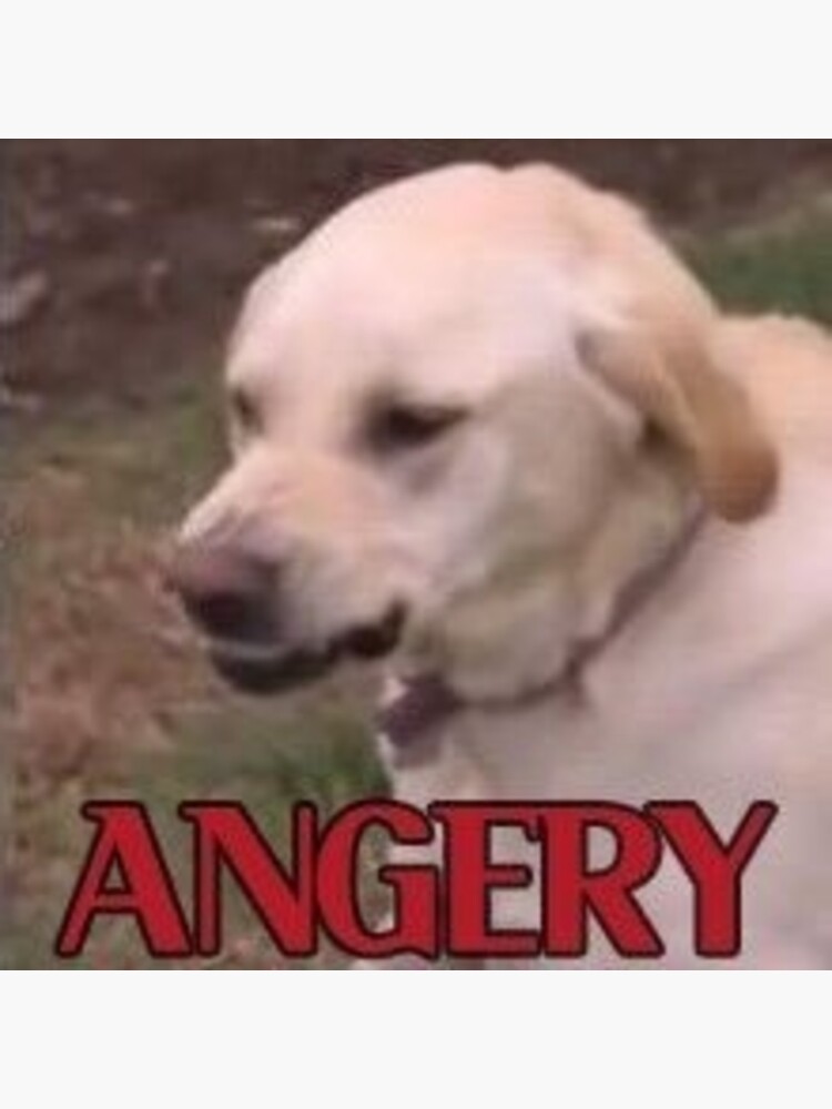 "ANGERY DOGGO" Sticker for Sale by wilu | Redbubble