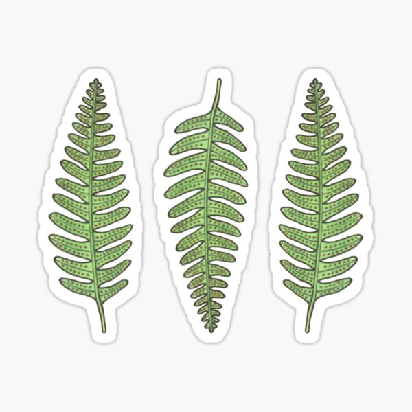 "Fern Fronds Sticker Pack" Sticker by elevens | Redbubble