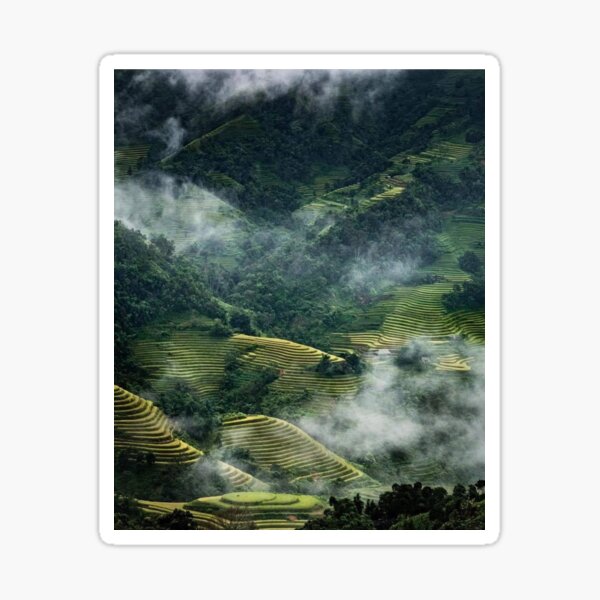 "Terraced Rice Fields Paddy Rice Fields" Sticker for Sale by Mi-Kua ...