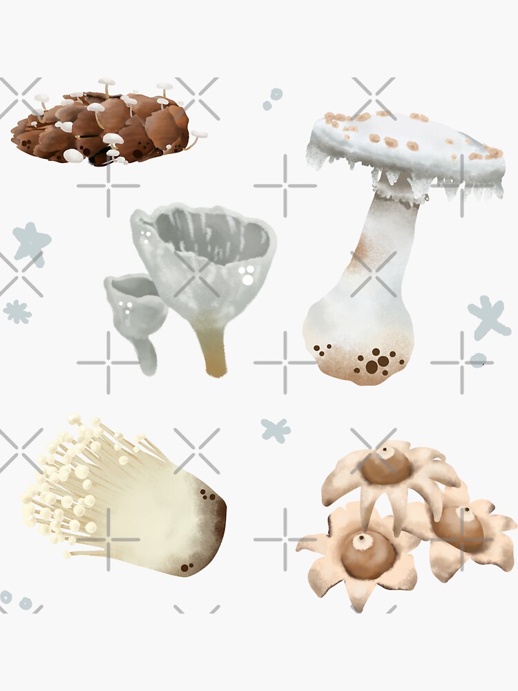 "Assorted Mushrooms (White Pack)" Sticker for Sale by nocsnightsky ...