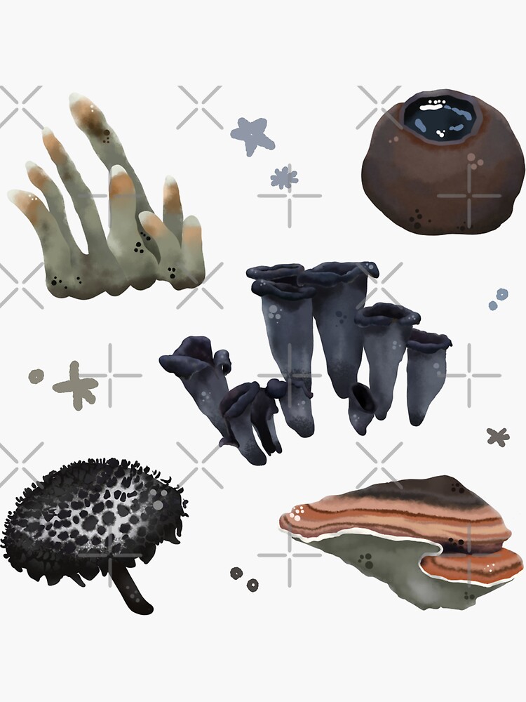 "Assorted Mushrooms (Black Pack)" Sticker for Sale by nocsnightsky ...