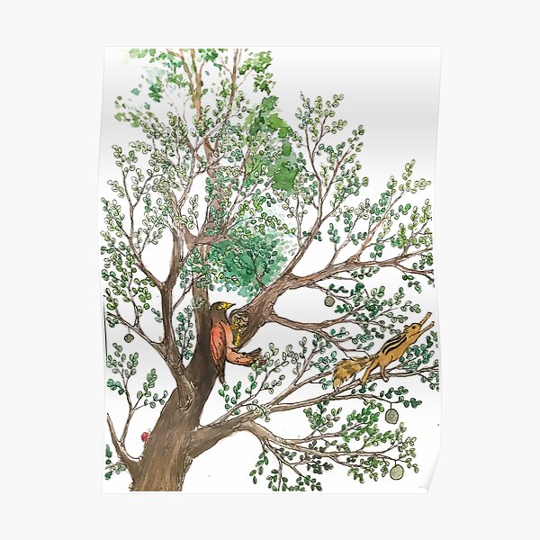 "Maina nest in a tree and jumping squirrel" Poster by STipari | Redbubble