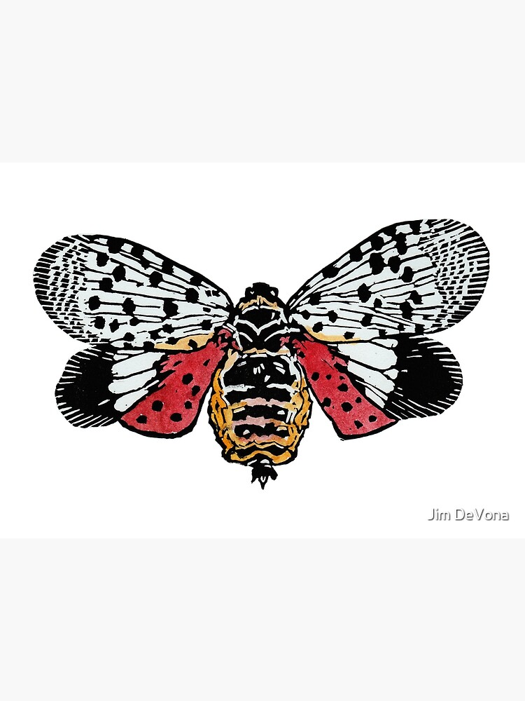 "Spotted Lanternfly - Original Watercolor Tinted Relief Print ...