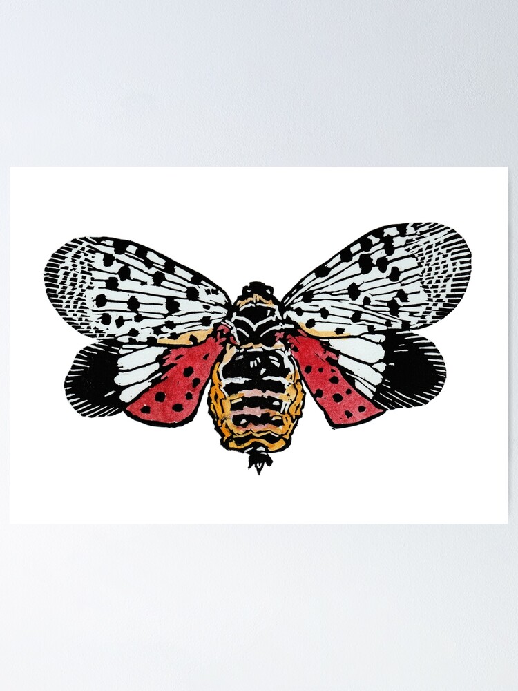 "Spotted Lanternfly - Original Watercolor Tinted Relief Print ...