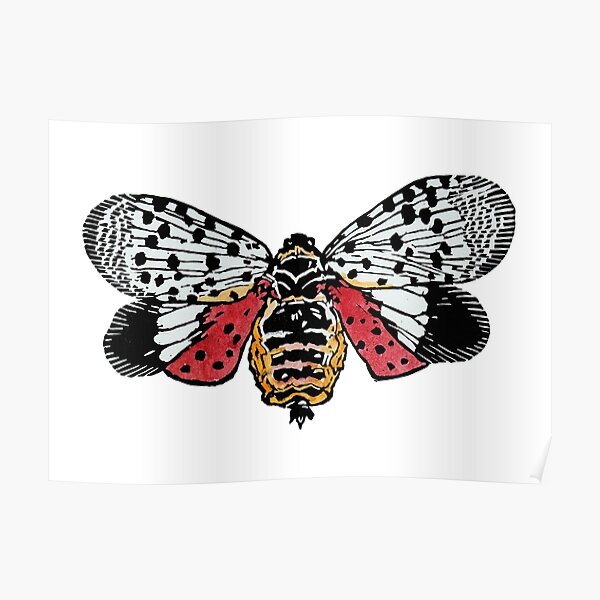 "Spotted Lanternfly - Original Watercolor Tinted Relief Print ...