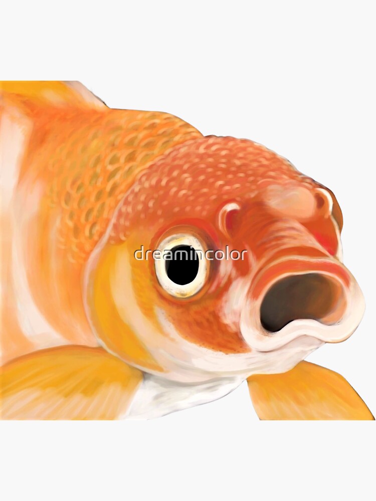 "Goldfish sticker Pucker up!" Sticker for Sale by dreamincolor | Redbubble