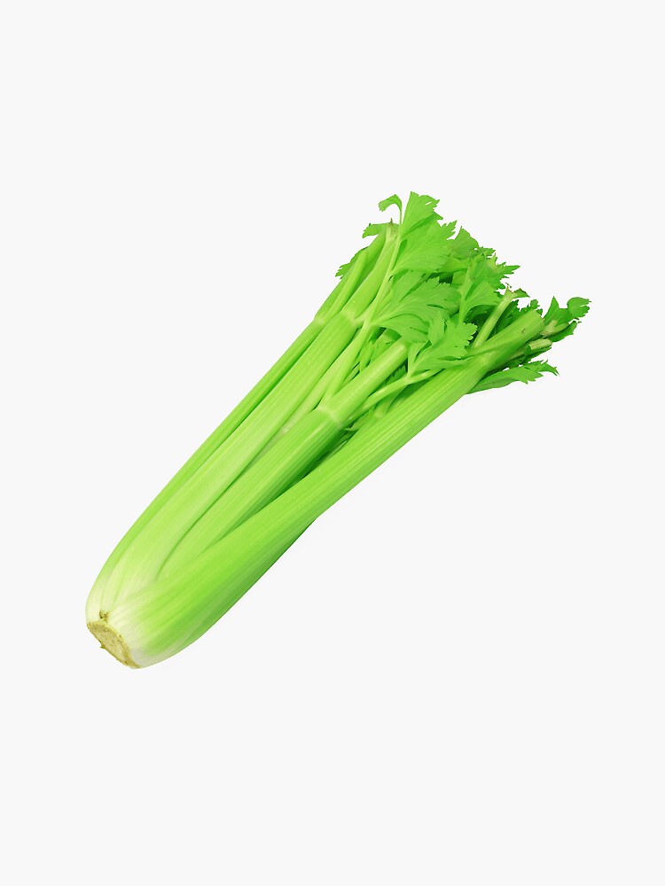"Celery" Sticker for Sale by statefarmpen | Redbubble