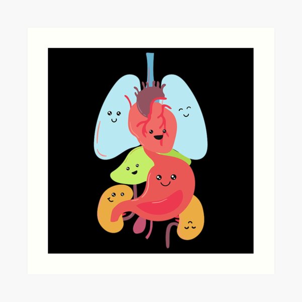 "cute anatomy internal organs body tee" Art Print for Sale by ...