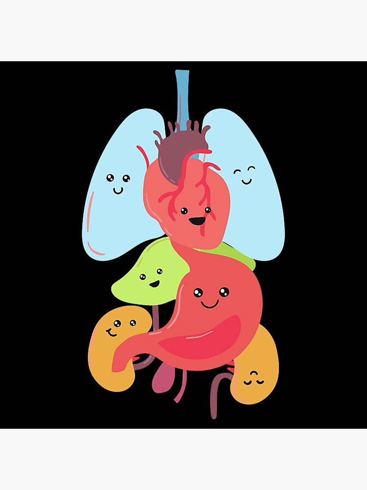 "cute anatomy internal organs body tee" Poster for Sale by CamiseMaya ...