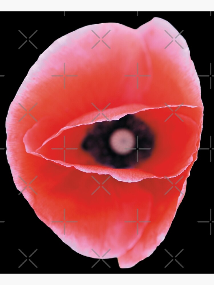 "Poppy Eye" Poster by BaDeYaDeYa | Redbubble