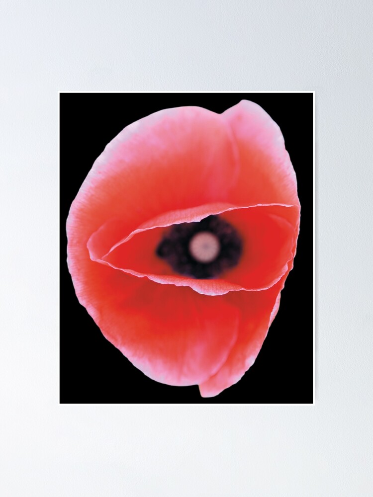 "Poppy Eye" Poster by BaDeYaDeYa | Redbubble