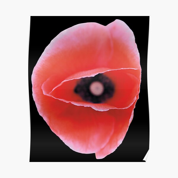 "Poppy Eye" Poster by BaDeYaDeYa | Redbubble