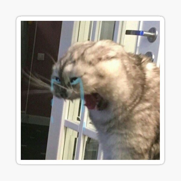 "crying cat" Sticker for Sale by Thriladien | Redbubble