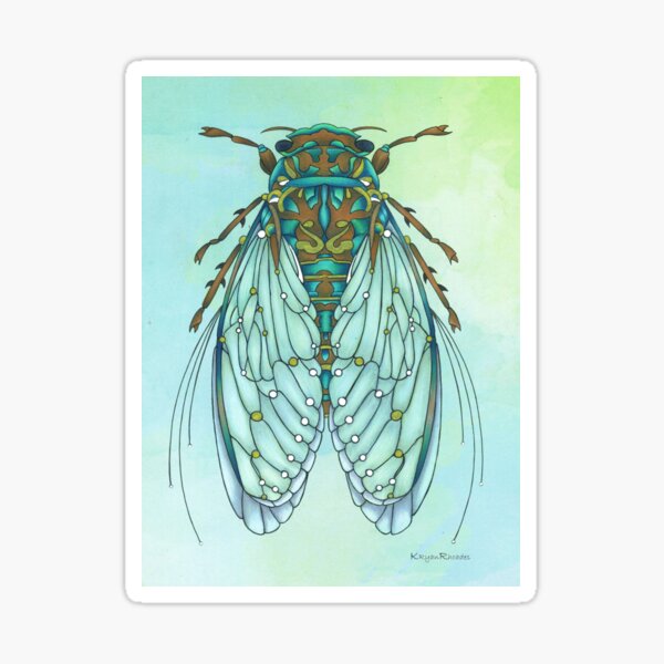 "Cicada" Sticker for Sale by kjrhoades | Redbubble