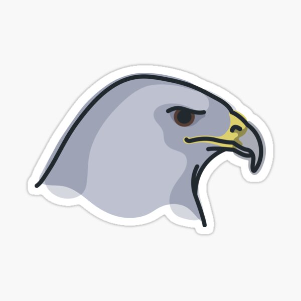 "Chilean Blue Eagle" Sticker for Sale by quick-brown-fox | Redbubble