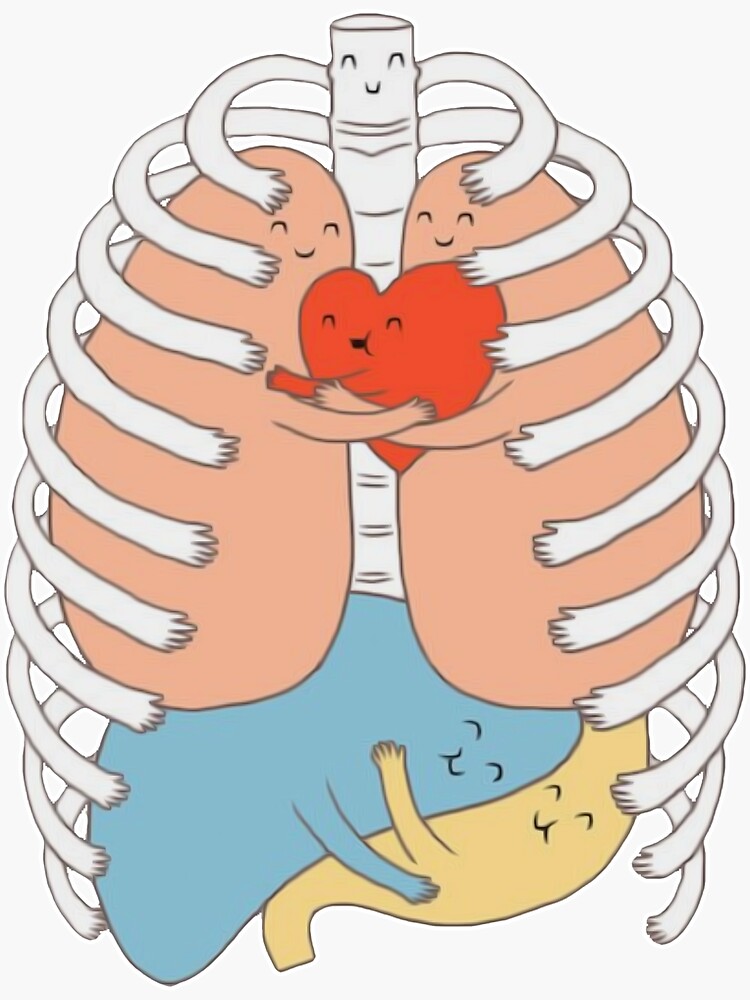 "Cute Organs!!!" Sticker for Sale by KrakenTShirts | Redbubble