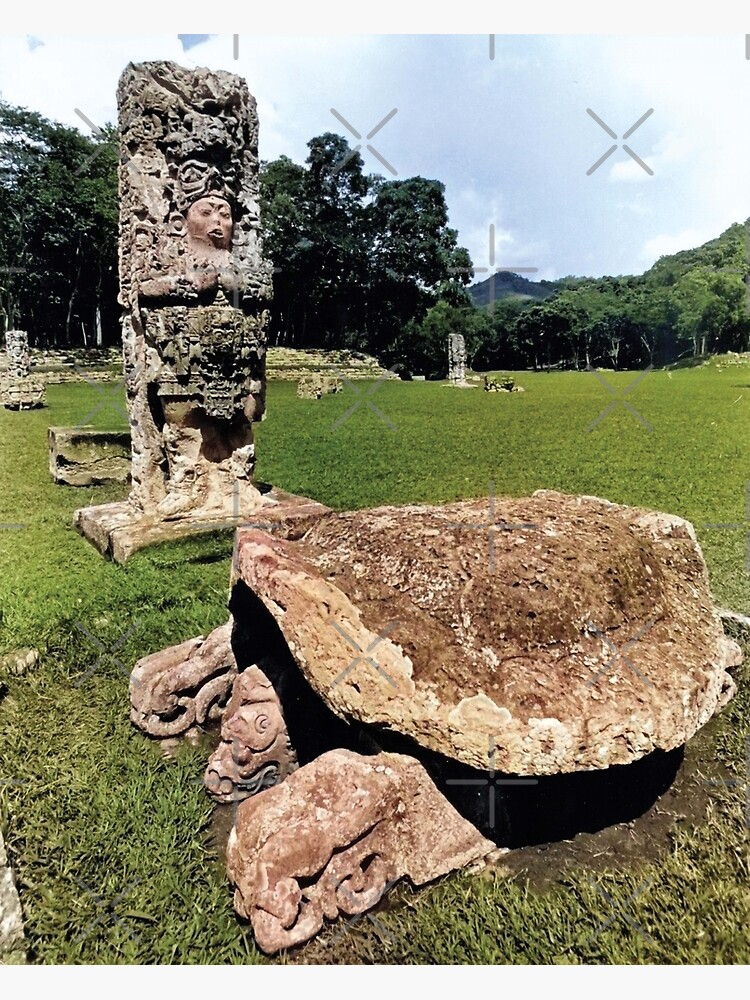 "Colorized Mayan Ruins of Copan Cosmic Turtle" Poster by JerryFrank ...