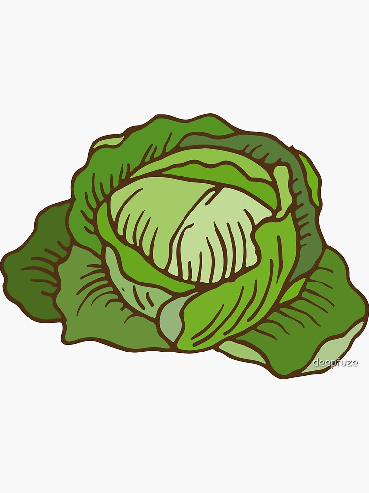 "Cabbage" Sticker for Sale by deepfuze | Redbubble