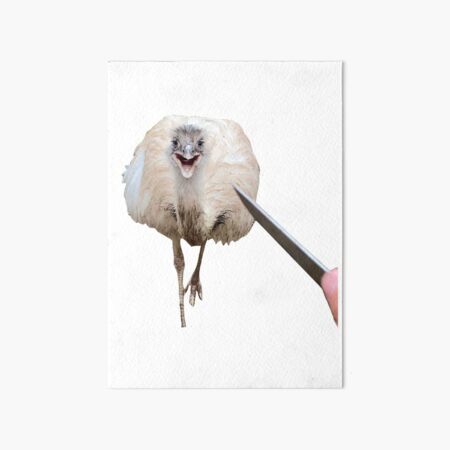 "Kevin the Rhea" Art Board Print by abcreationsk3 | Redbubble