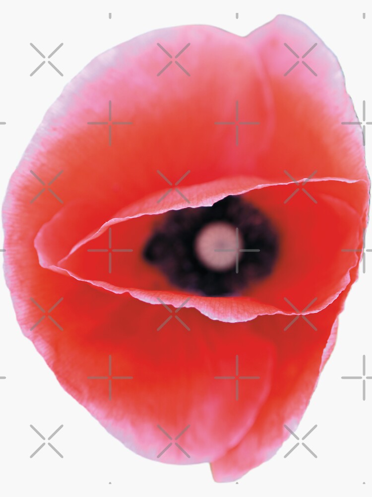 "Poppy Eye Gold" Sticker by BaDeYaDeYa | Redbubble