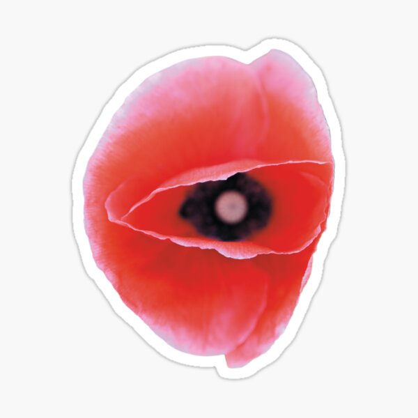"Poppy Eye Gold" Sticker by BaDeYaDeYa | Redbubble