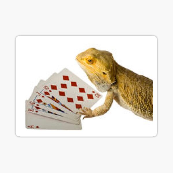 "Lizard Playing Poker With Perfect Winning Hand. Poker Fans." Sticker ...