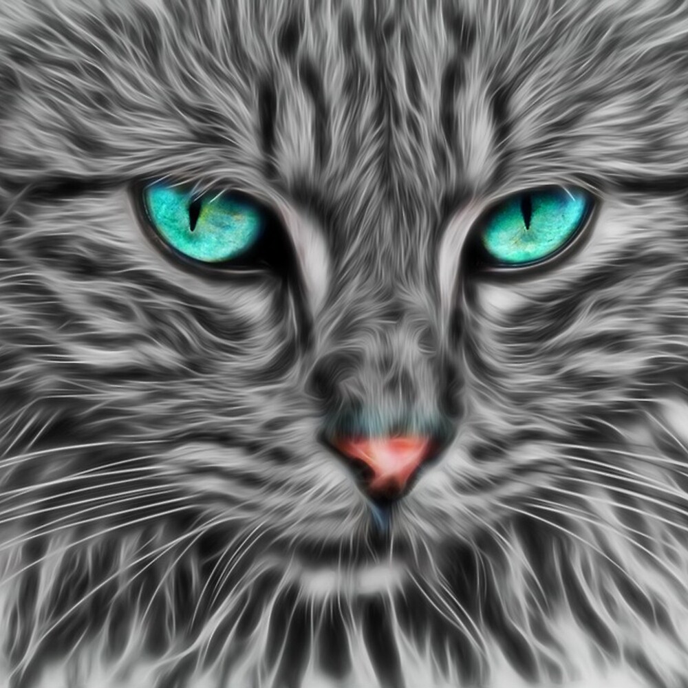 "Grey Fur Blue Eyed Cat Drawing" by Rebuff | Redbubble