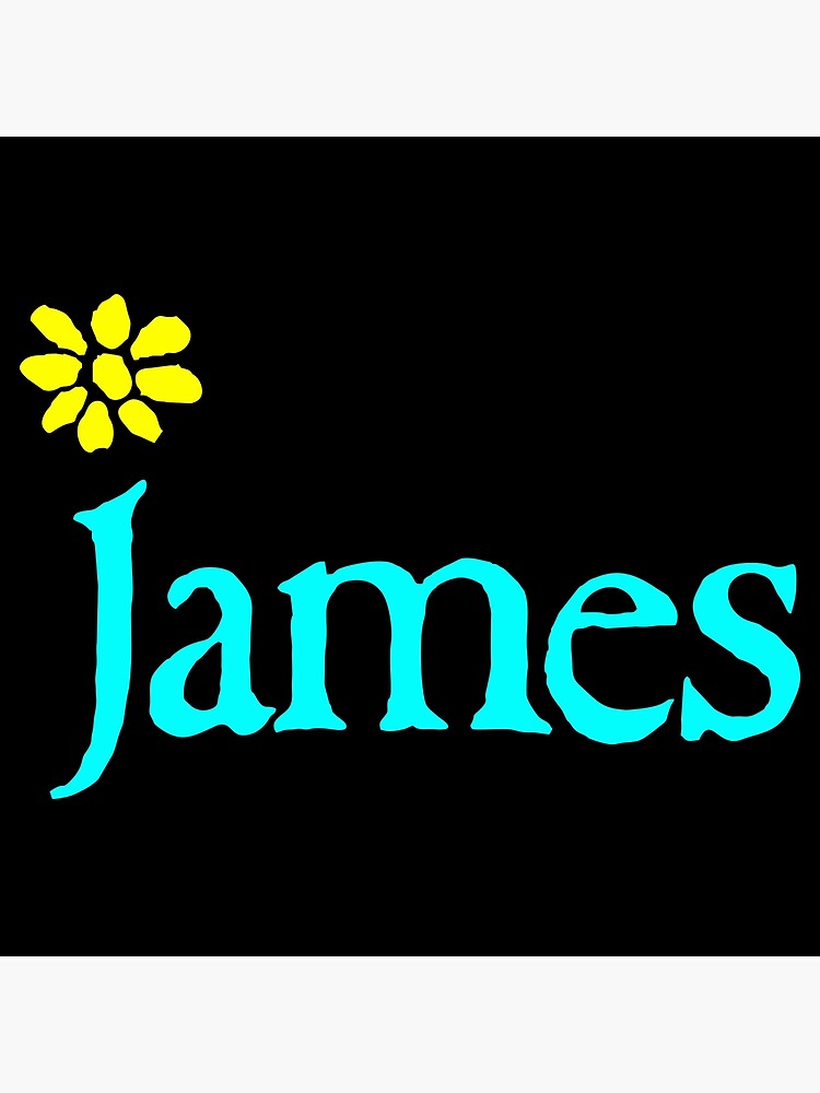 James The Band Logo