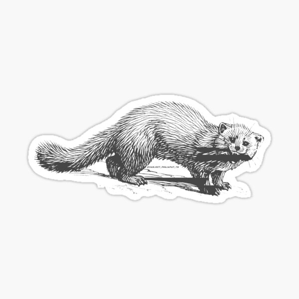 "Mongoose" Sticker by sanjeetprajapat | Redbubble