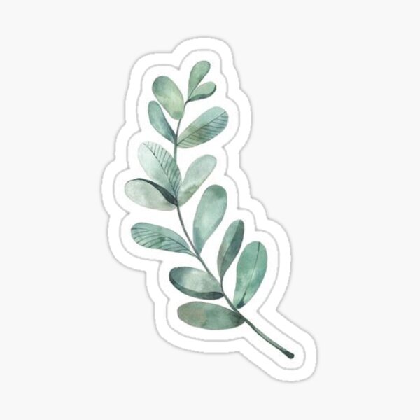 "Mint leaf sticker" Sticker for Sale by 1Array | Redbubble