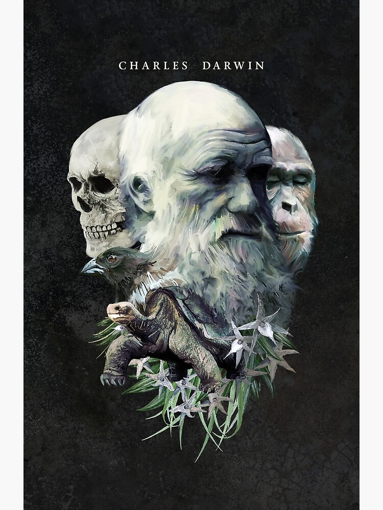 "Charles Darwin - Science of Evolution" Poster for Sale by Lidra ...
