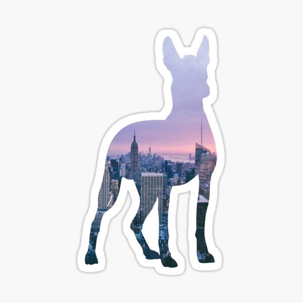 "Xolo Dog Silhouette With New York City Skyline at Sunset" Sticker by ...