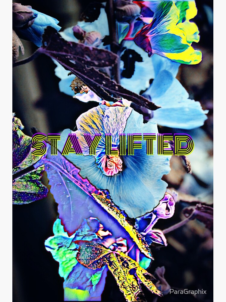 "STAY LIFTED " Sticker for Sale by ParaGraphix | Redbubble