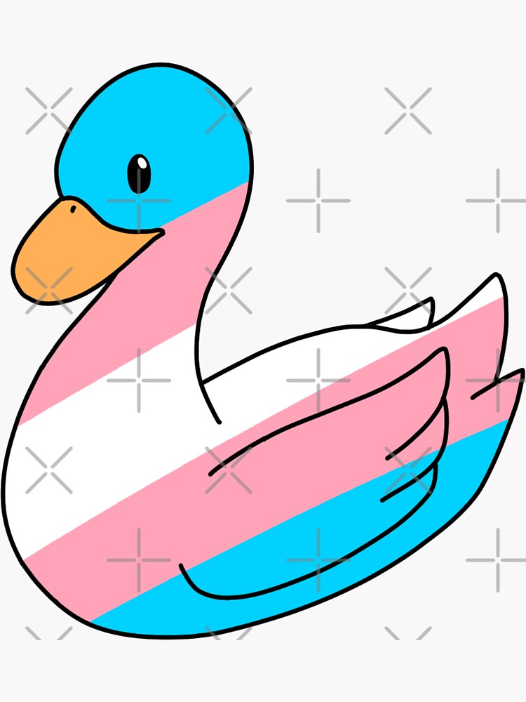 "Trans Duck" Sticker for Sale by ceolsonart | Redbubble
