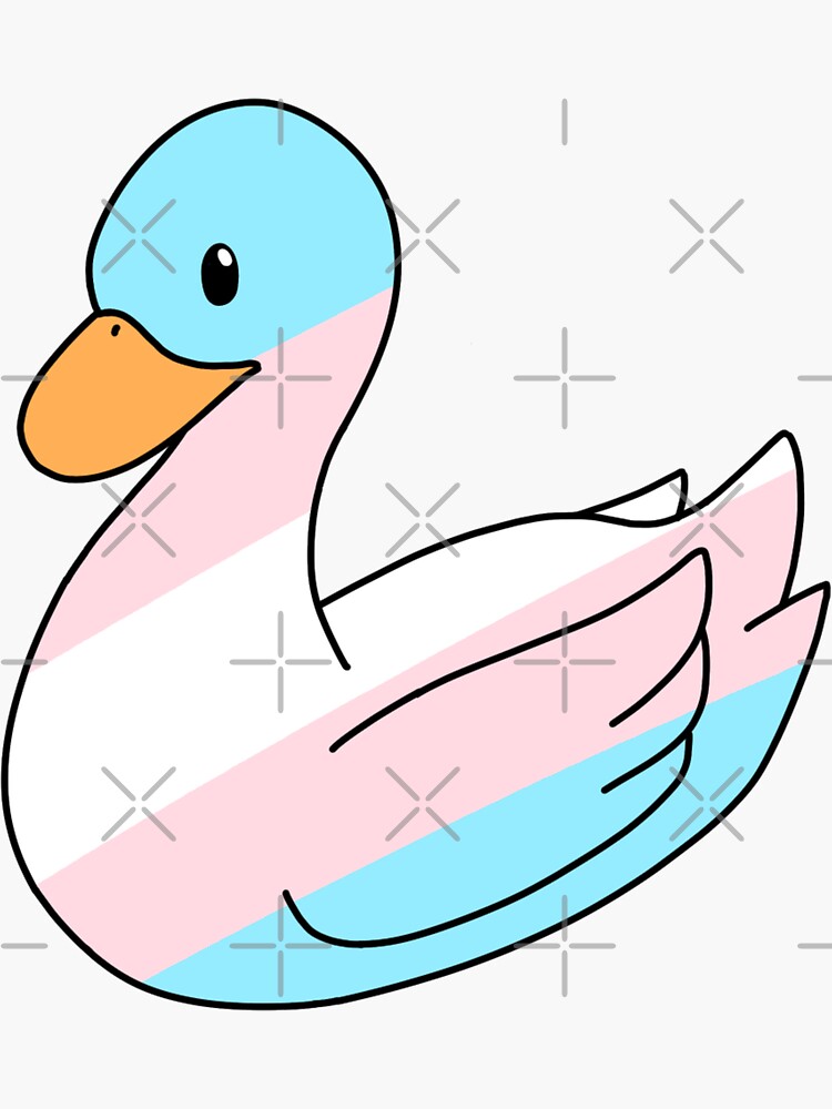 "Pastel Trans Duck" Sticker by ceolsonart | Redbubble