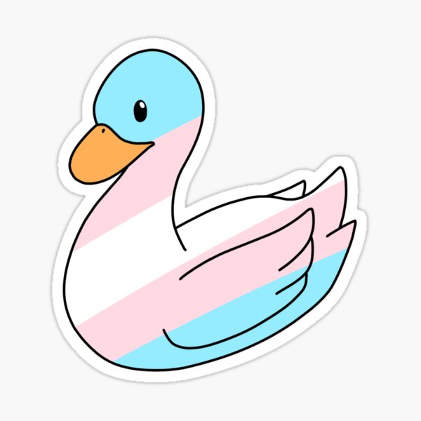 "Pastel Trans Duck" Sticker by ceolsonart | Redbubble