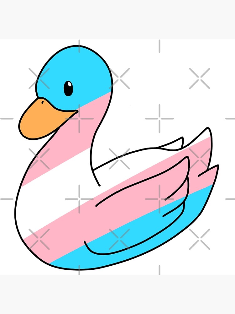 "Light Trans Duck" Poster for Sale by ceolsonart | Redbubble